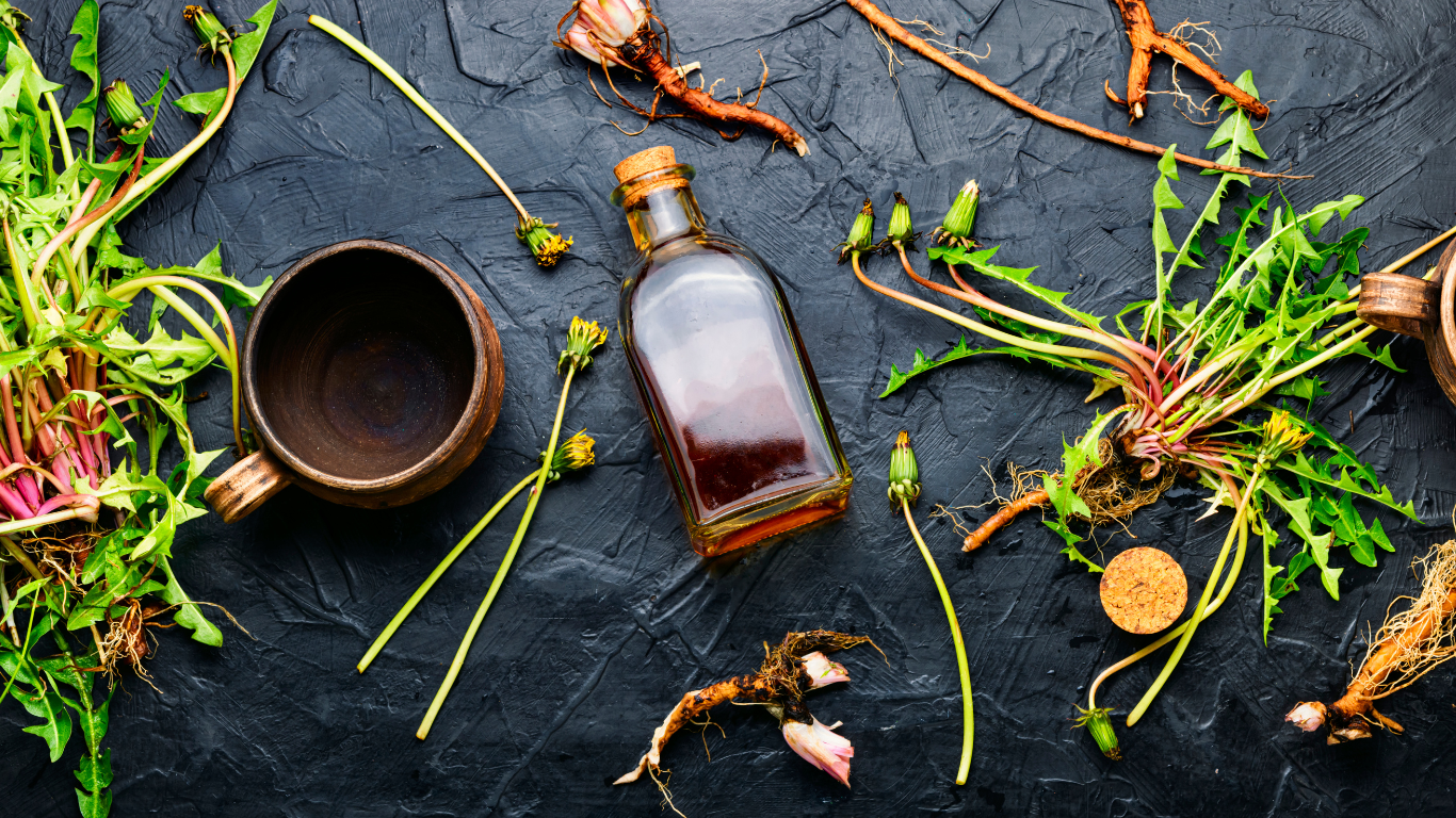 Wild Medicine of the Boreal Forest: 20 Foraging Plants - Borealis Mom