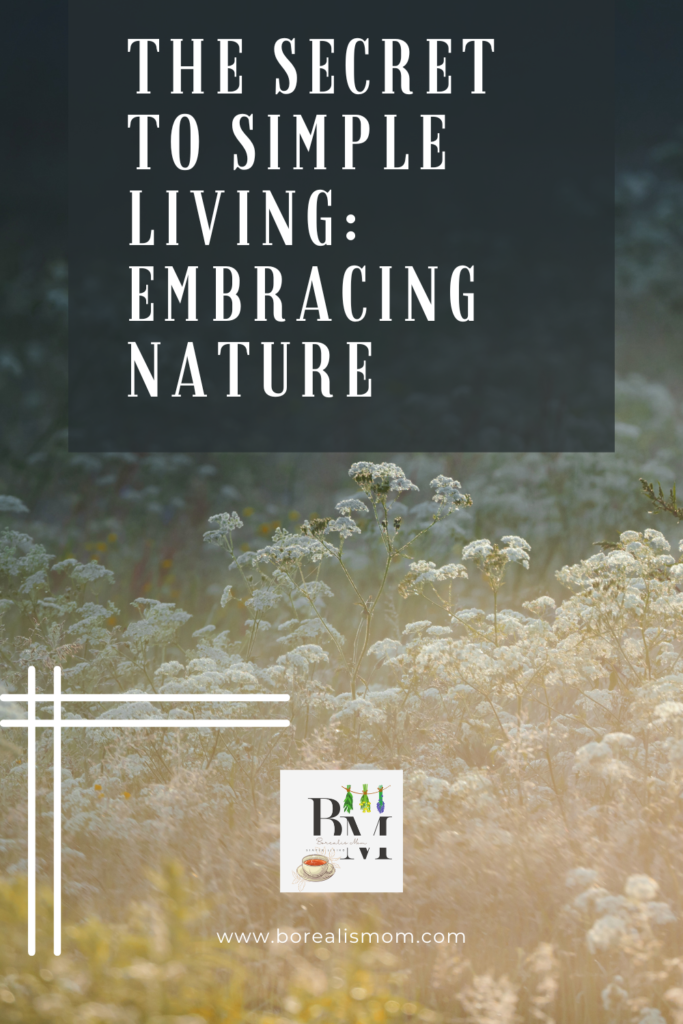 The Secret to Simple Living: Embracing Nature - Borealis Mom