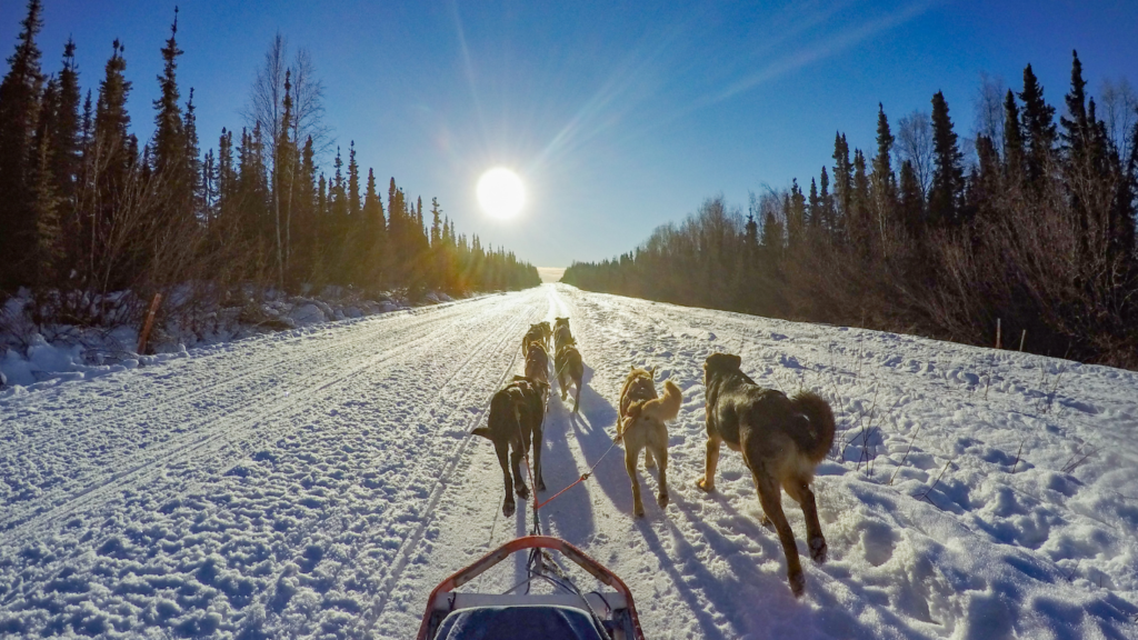 The Essential Winter Gear Checklist: Be Prepared for Your Outdoor ...