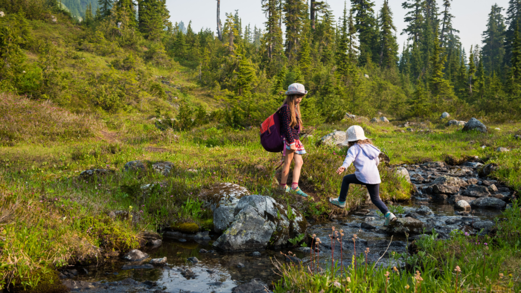 How To Plan the Ultimate Family Hiking Trip - Borealis Mom