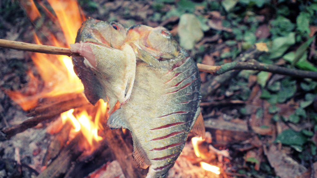 How To Master Campfire Cooking - Borealis Outdoors