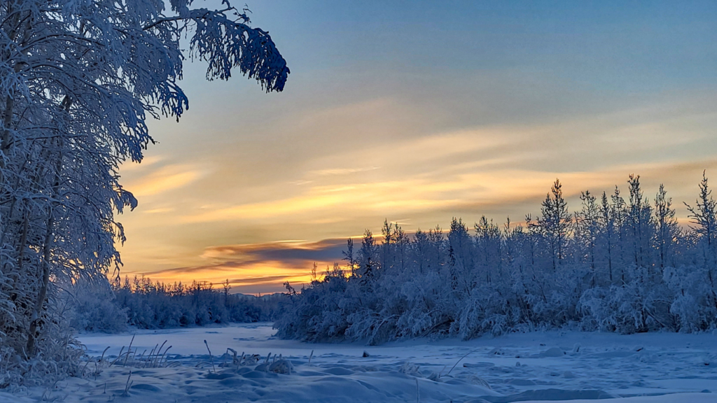 The Best Cross Country Ski Trails in Fairbanks, Alaska - Borealis Outdoors