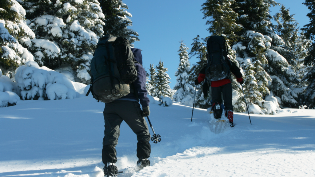 The Best Cross Country Ski Trails in Fairbanks, Alaska - Borealis Outdoors