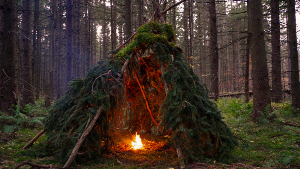Outdoor Survival 101: The Basics You Need to Know