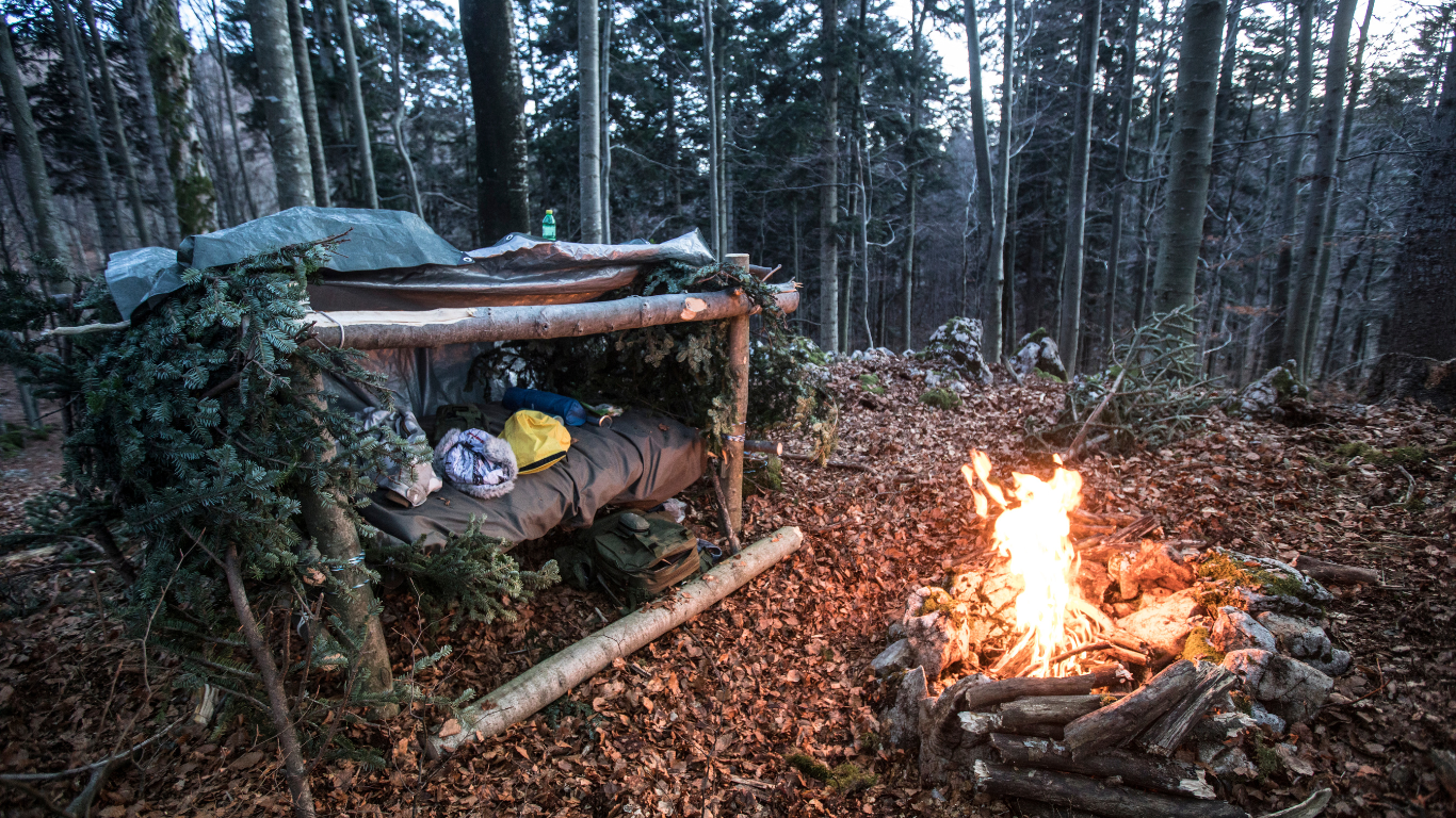 Outdoor Survival 101: The Basics You Need to Know