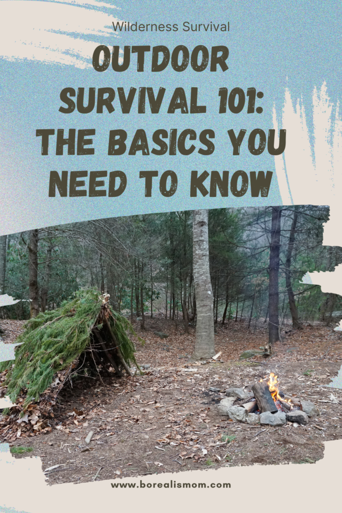 Outdoor Survival 101: The Basics You Need to Know