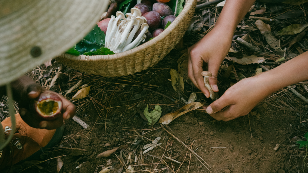 5 Primitive Skills to Teach Your Kids for Survival - Borealis Outdoors