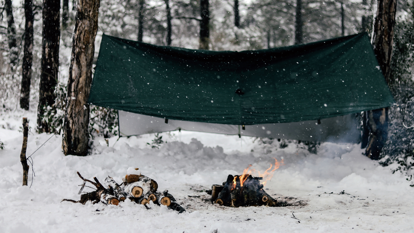5 Unconventional Survival Shelters You Need to Know About