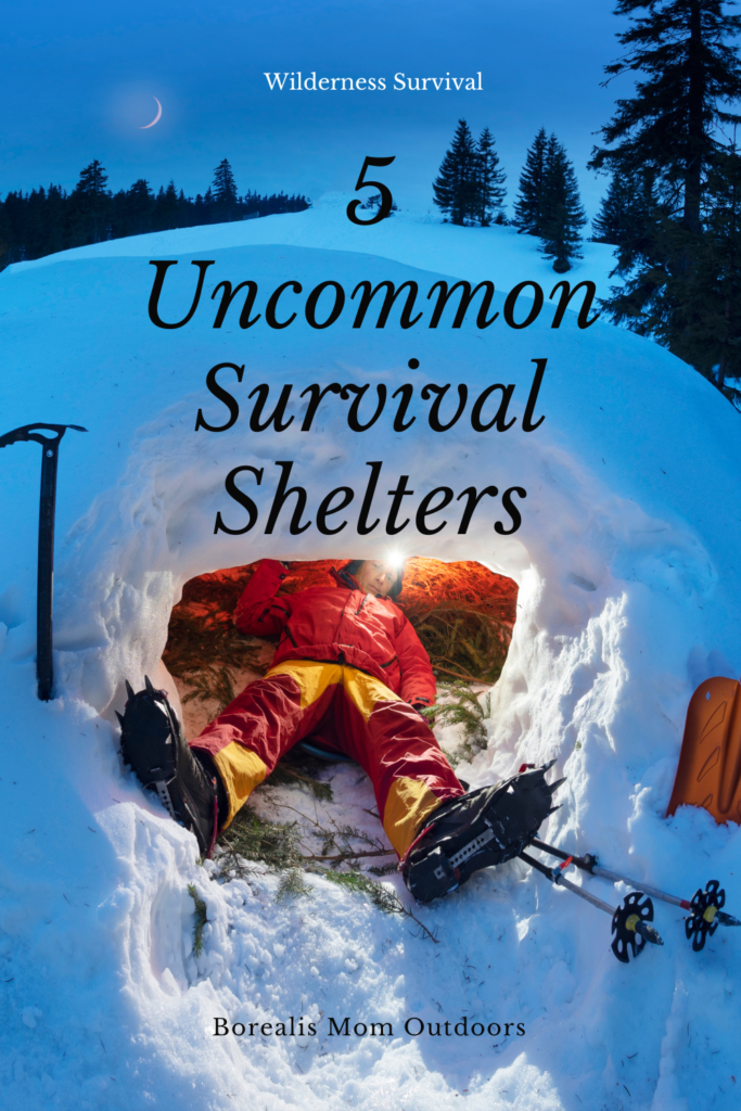 5 Unconventional Survival Shelters You Need to Know About