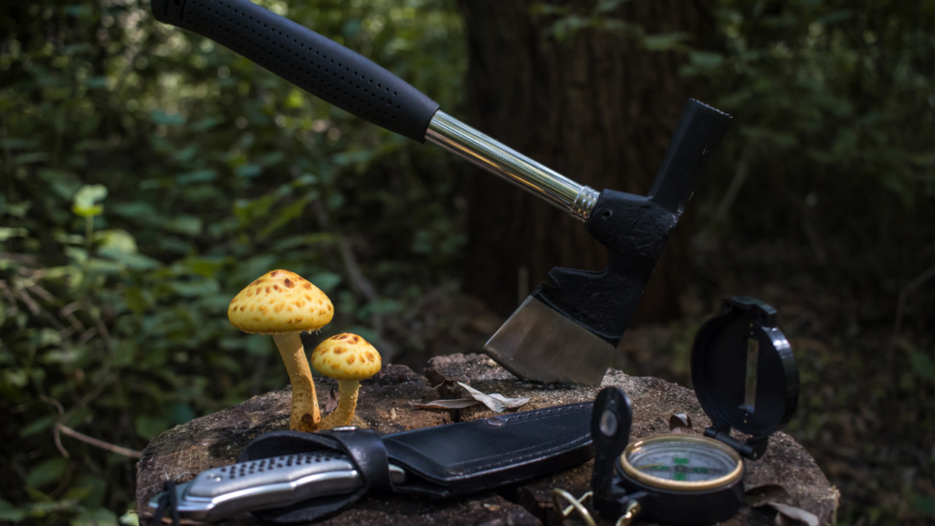 The Basic Wilderness Survival Kit Checklist You Need