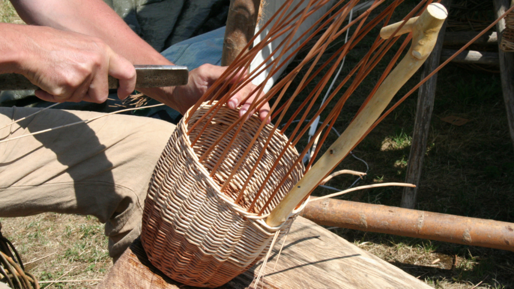 The Ultimate Guide for Willow Tree Use on the Homestead