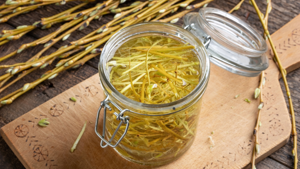 The Ultimate Guide for Willow Tree Use on the Homestead