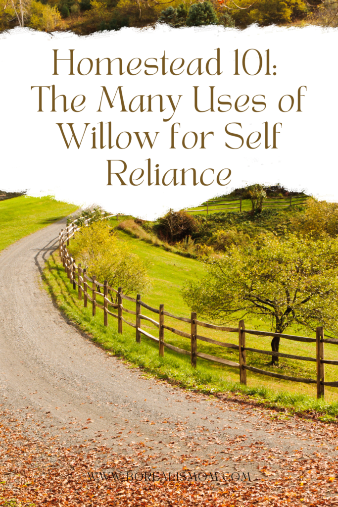 The Ultimate Guide for Willow Tree Use on the Homestead