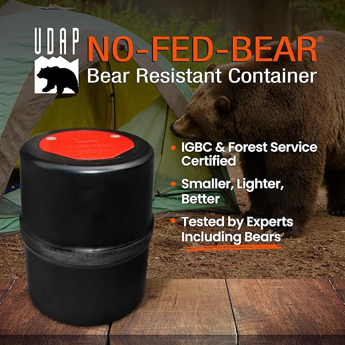 Bear Safety 101: Important Tips Every Adventurer Should Know