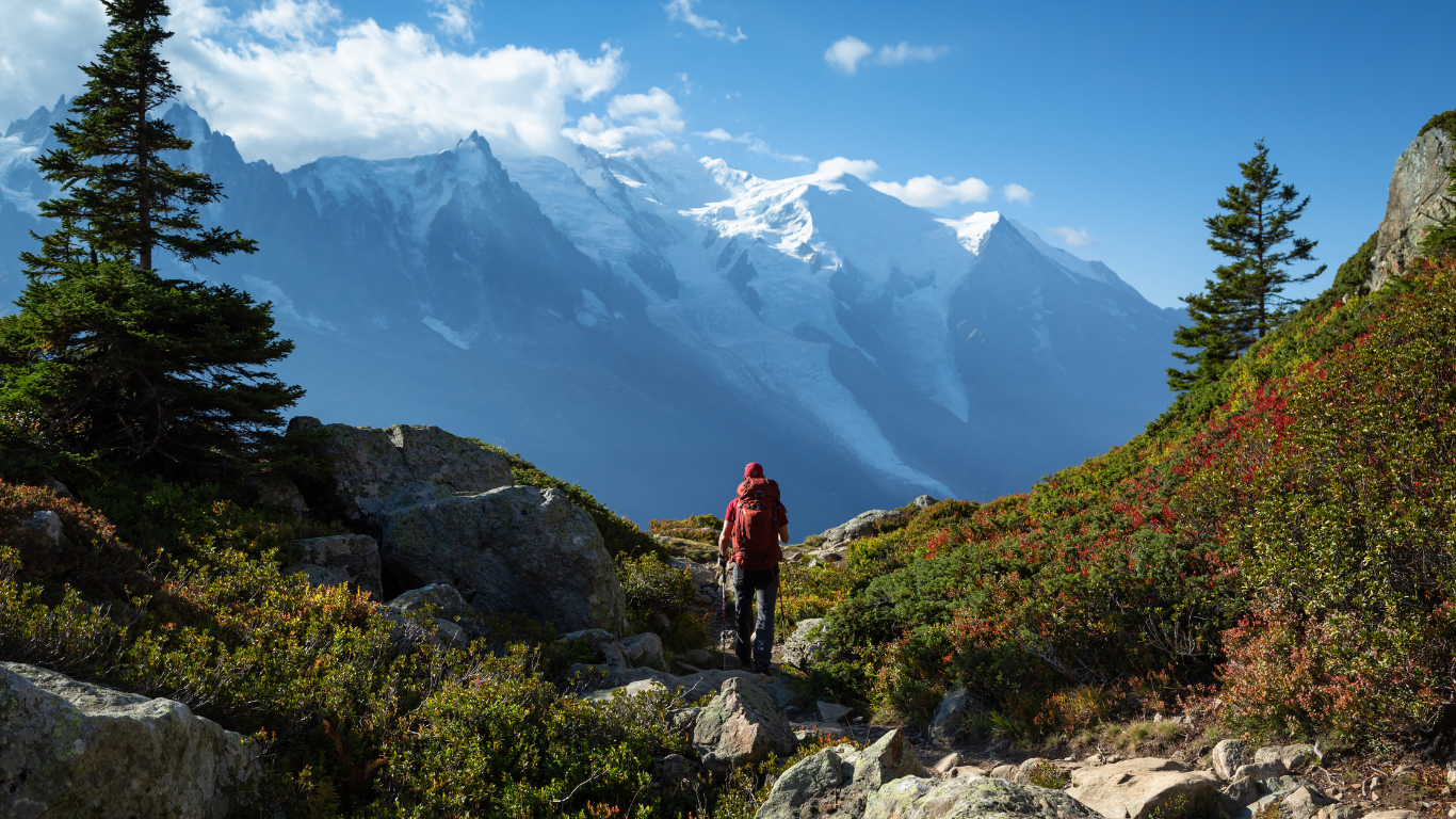 Learn the 5 Essential Wilderness First Aid Skills for Survival