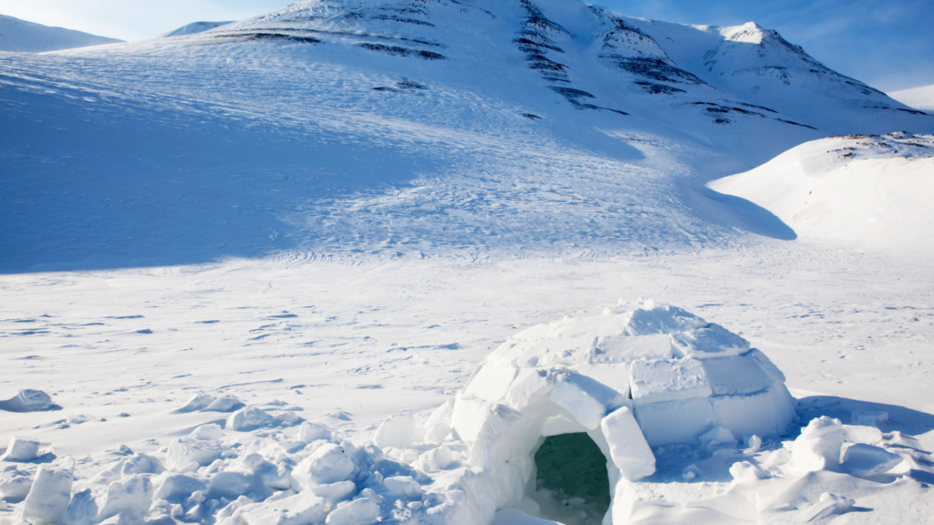 How to Build a Winter Survival Shelter